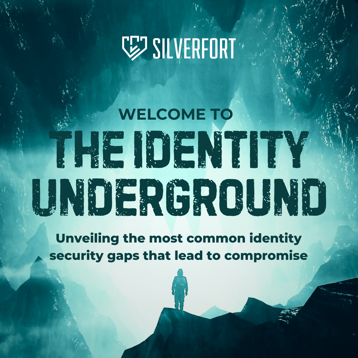 The Identity Underground Report | Silverfort